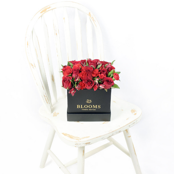 Rose Gifts | Red Radiance Box Rose Set - New York Blooms Delivery